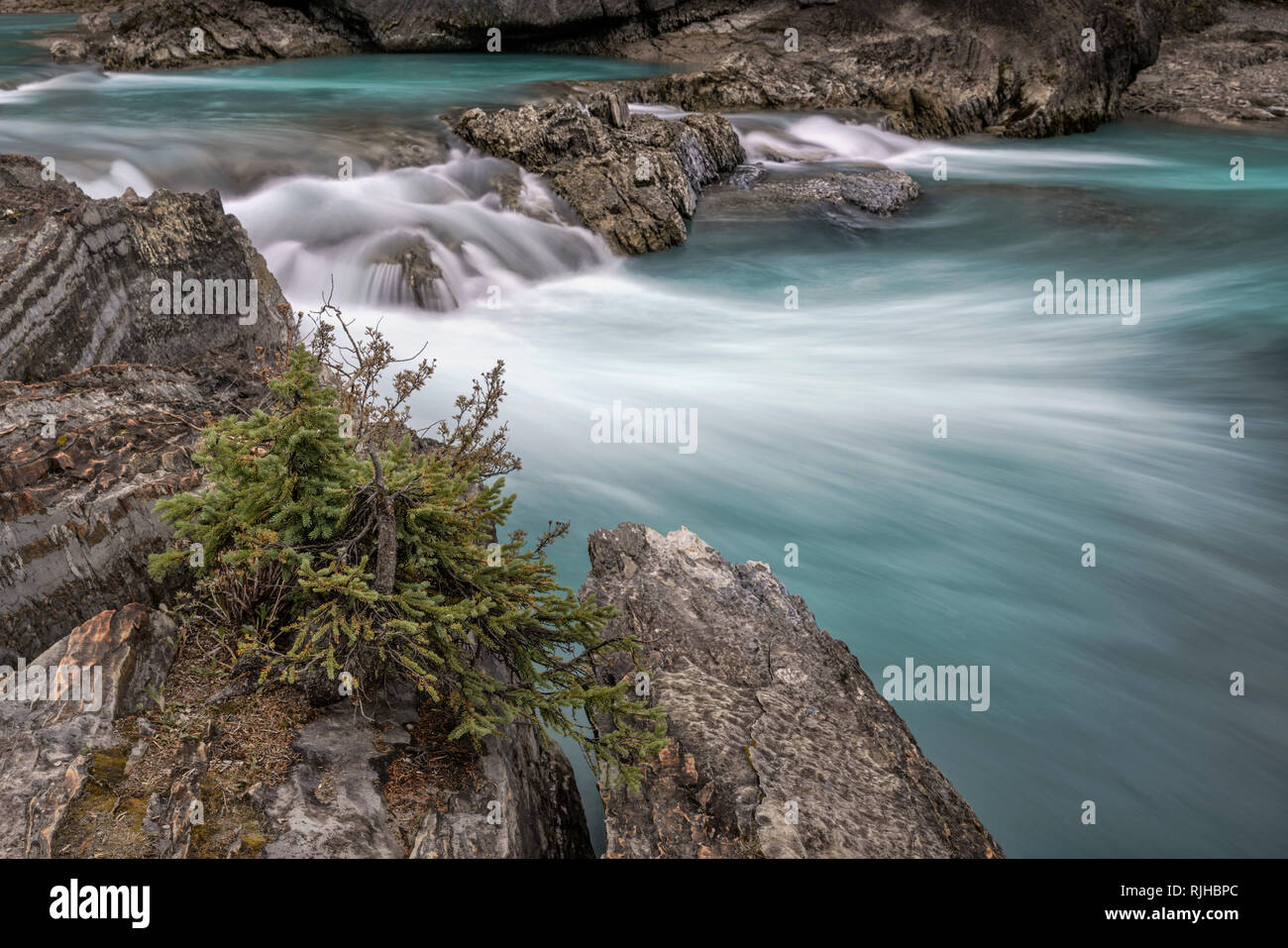 Natural Bridge Yoho Alberta Stock Photo - Alamy