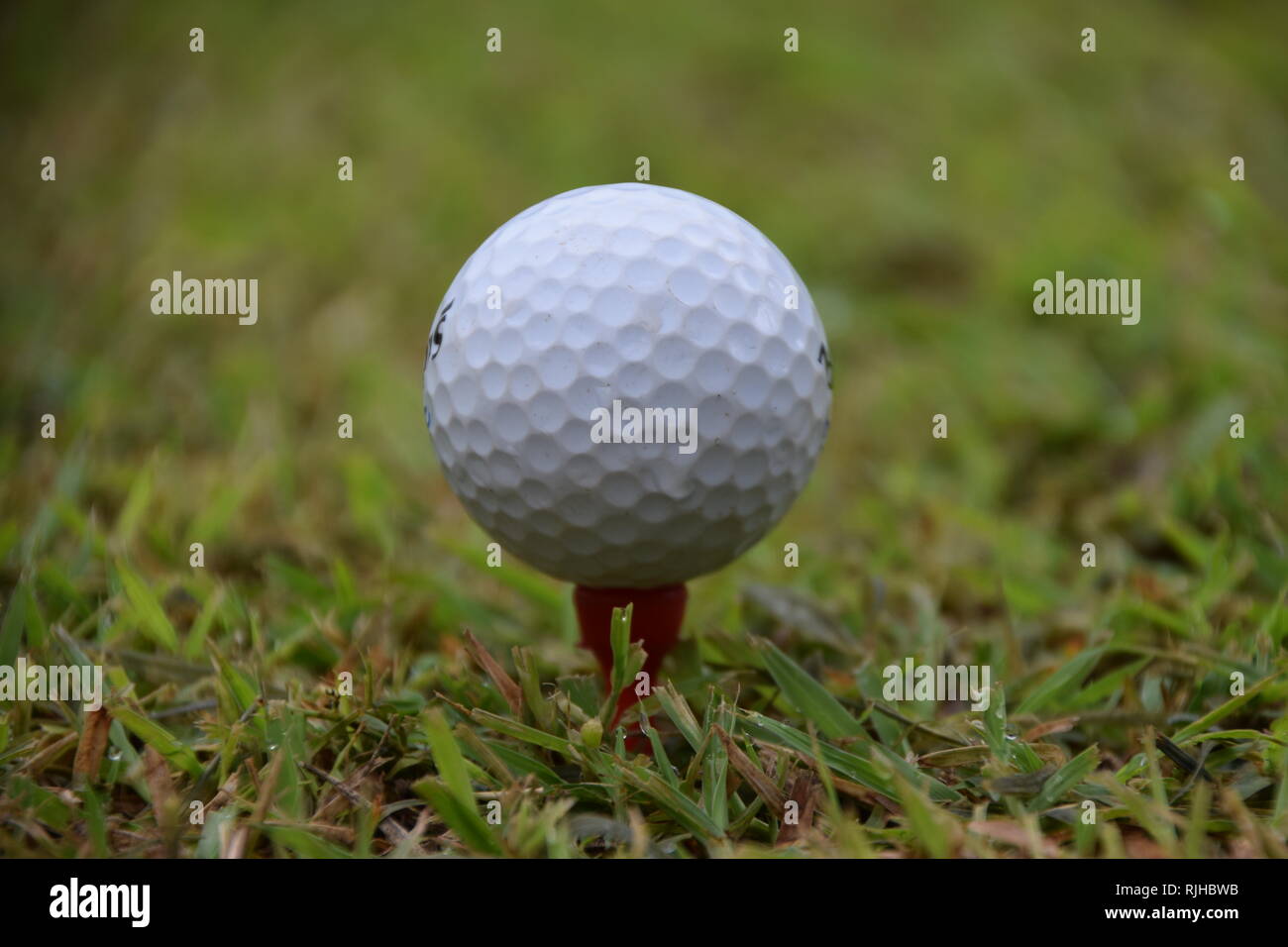 Golf ball on tee closeup detail Stock Photo - Alamy