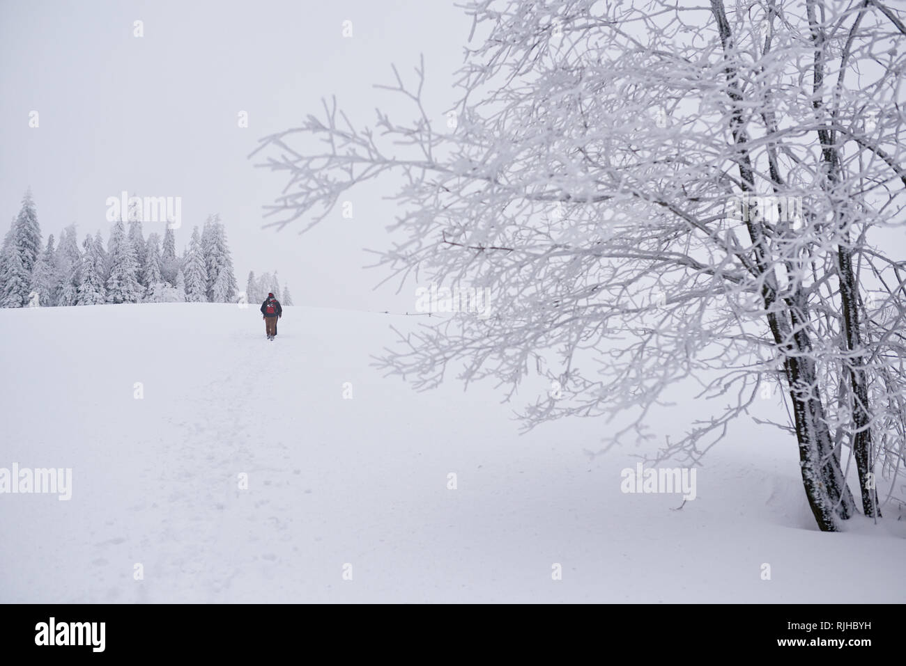 Man walking in snowy field hi-res stock photography and images - Alamy