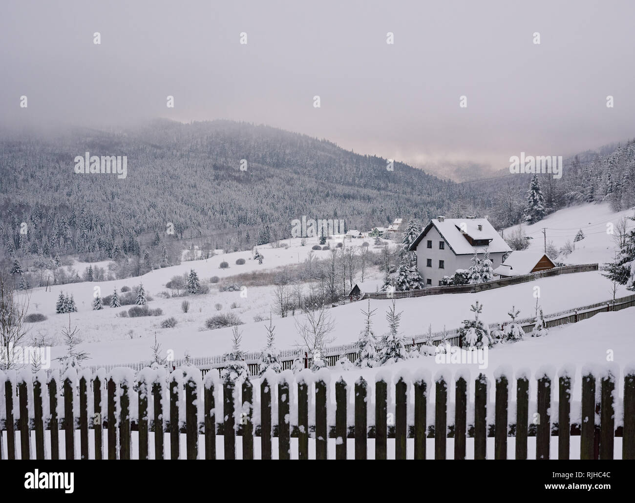 Snow falling on the countryside during winter Stock Photo - Alamy