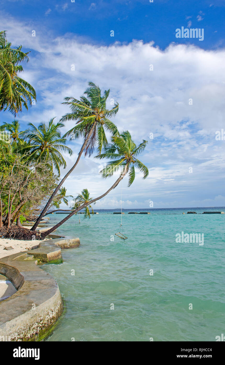 Beautiful landscape green palm trees over water on the island of ...