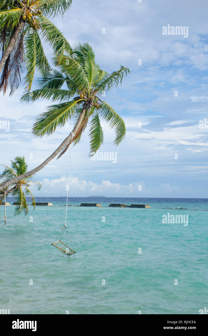 Beautiful landscape green palm trees over water on the island of ...