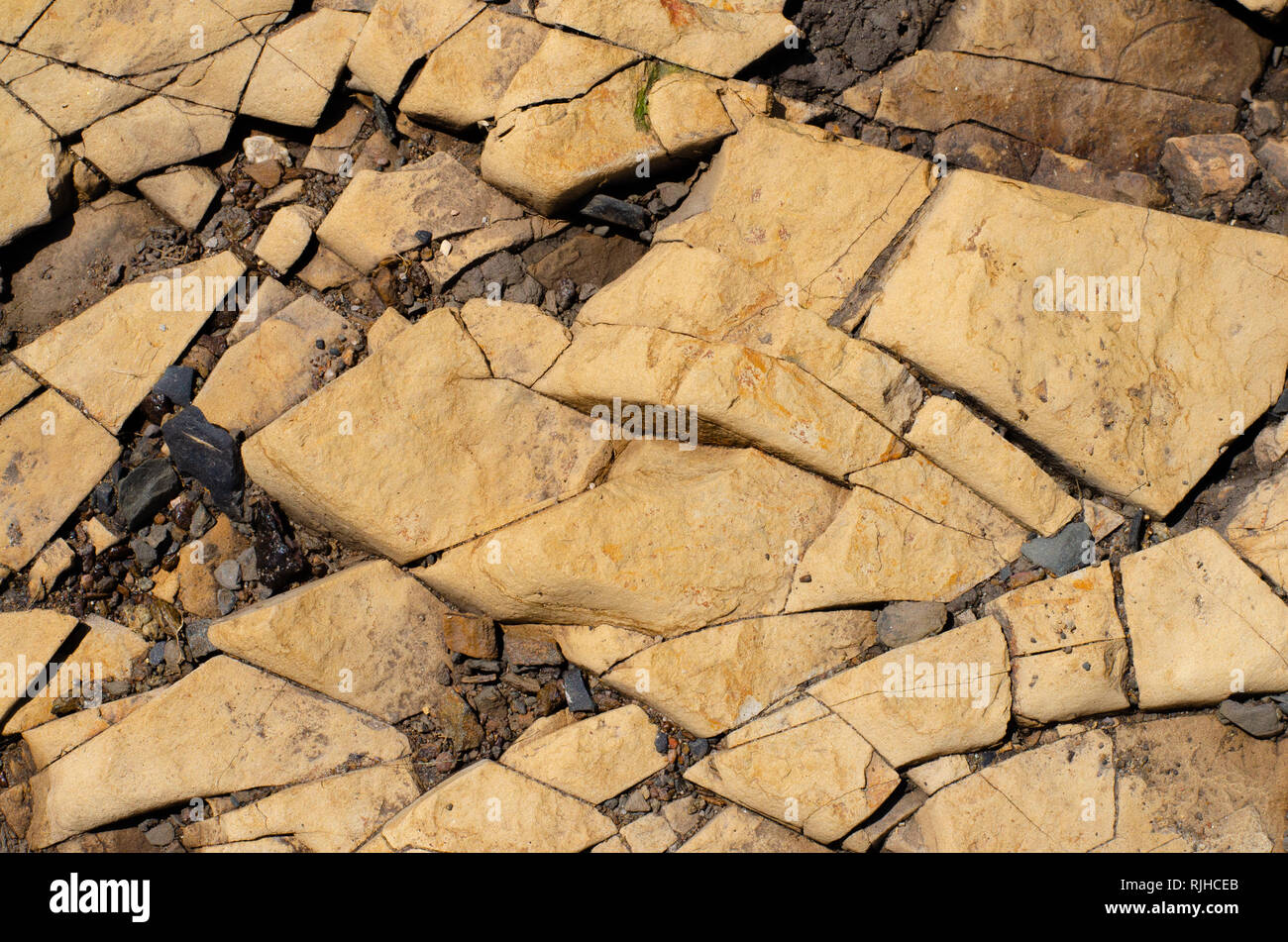 Fissured earth hi-res stock photography and images - Alamy