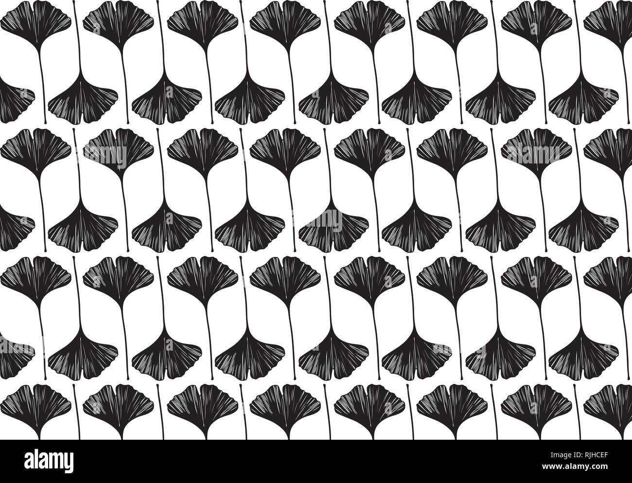 Ginkgo leaves vector in a black and white color palette Stock Vector ...