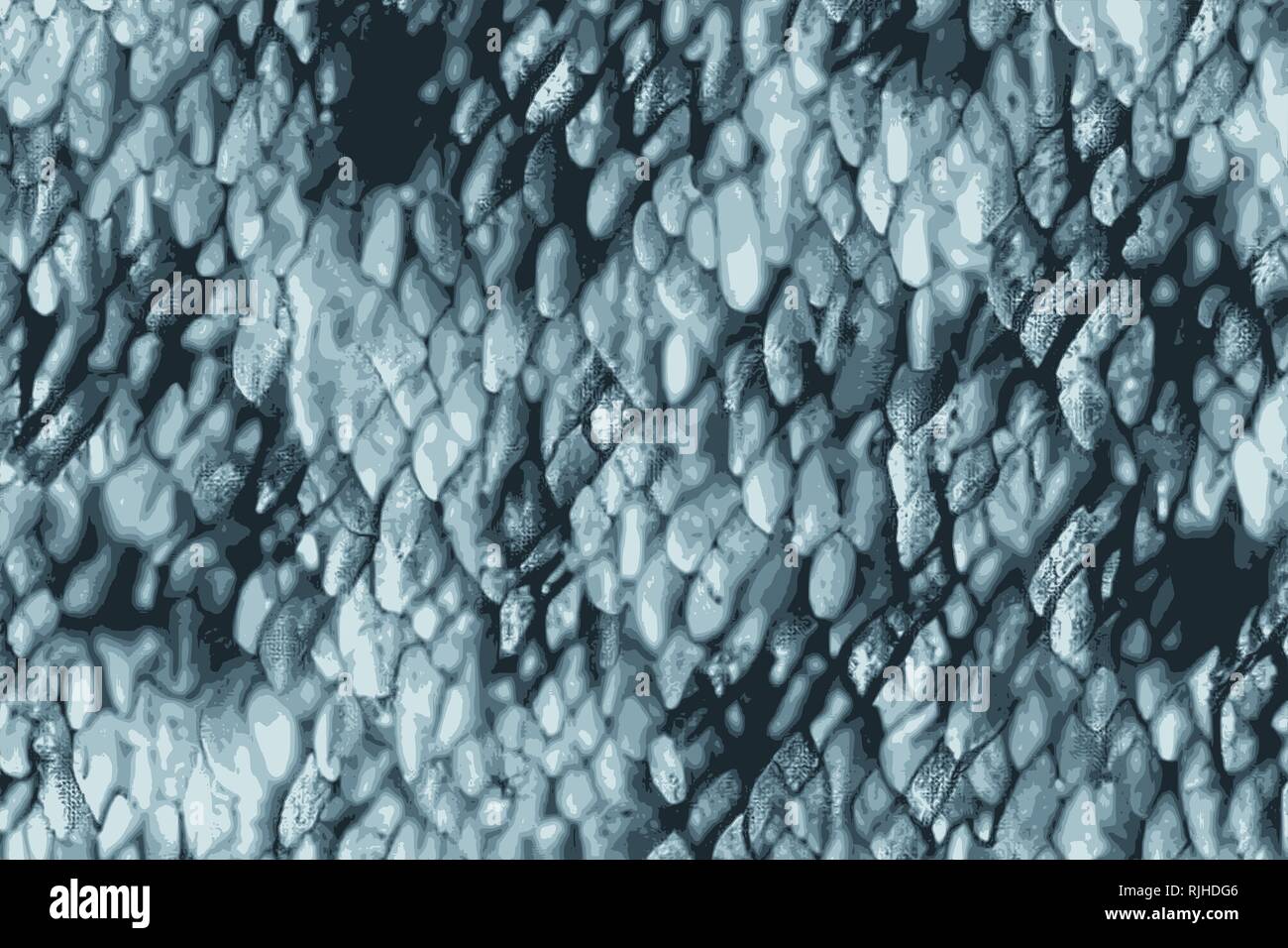 Abstract imitation of salmon fish scales under blue light Stock Photo ...