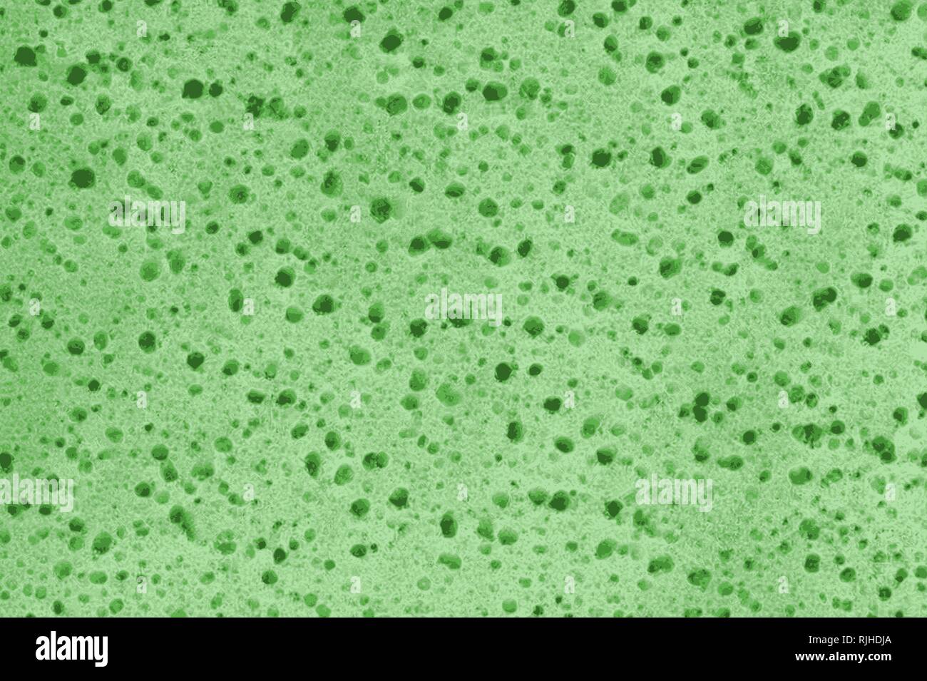 Green spongy texture of a rubber sponge or insulation foam Stock Photo ...