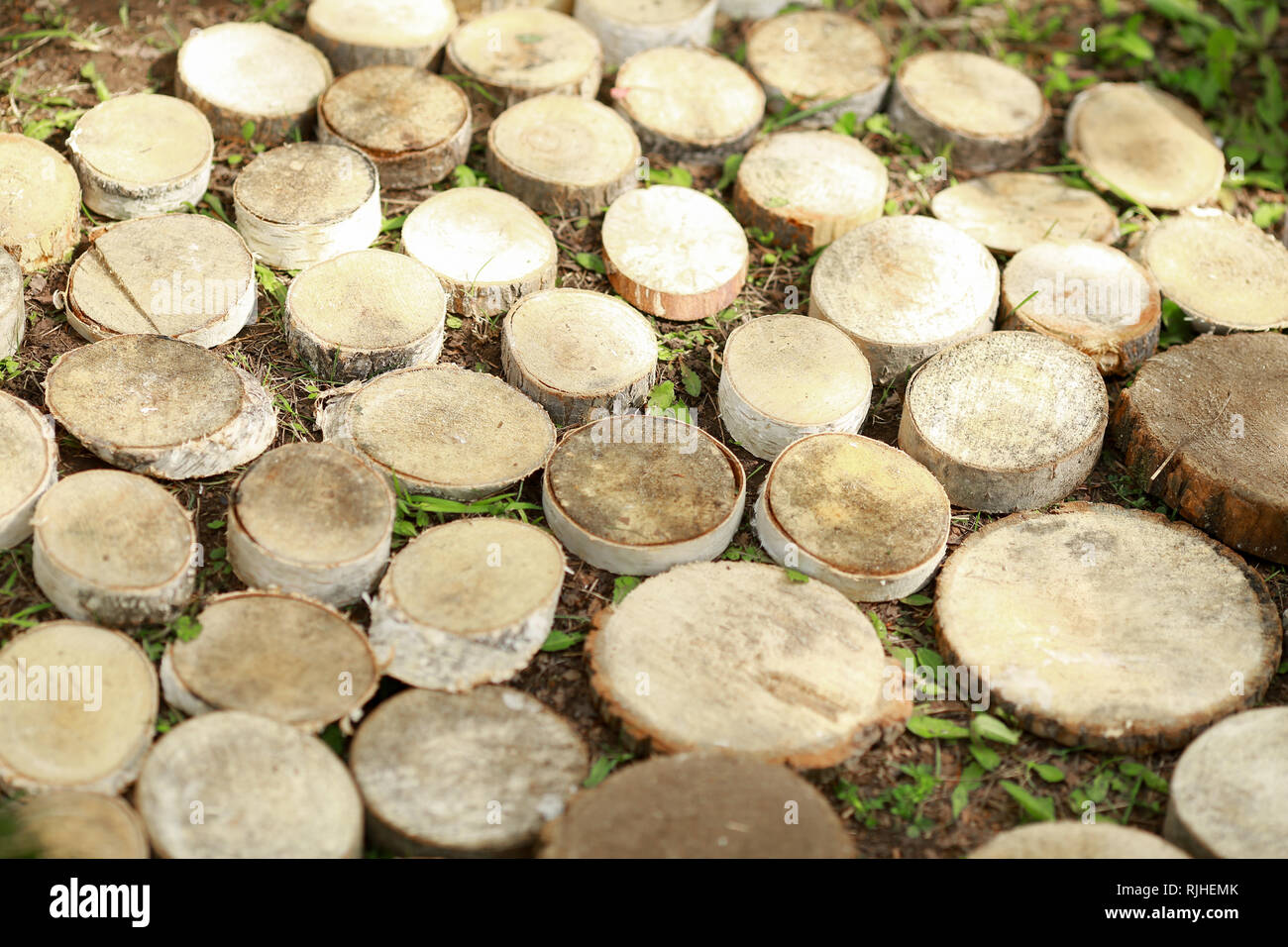 Tree stumps background. The original texture of a beautiful round wood ...