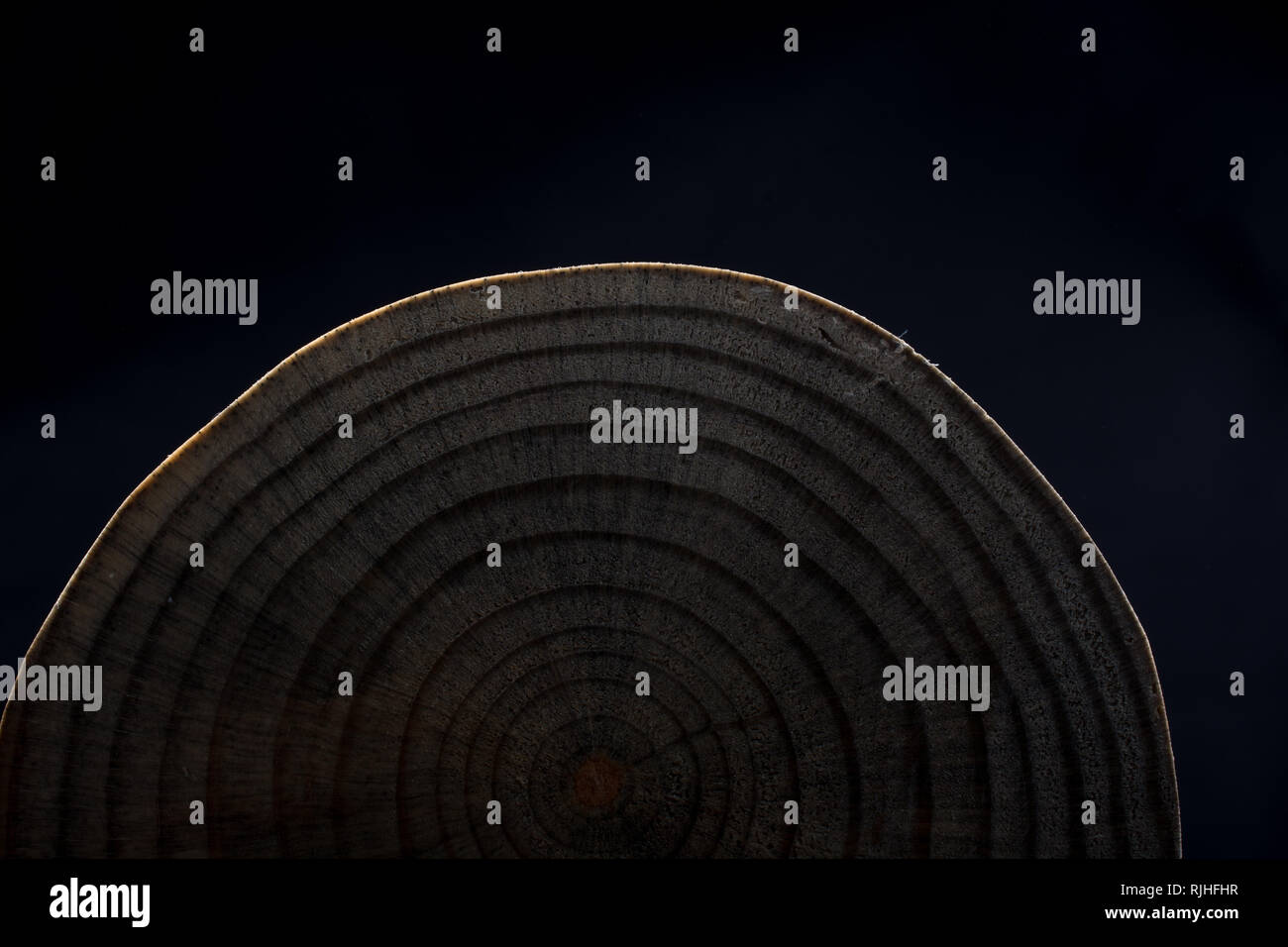 Piece of cut wood log texture as background Stock Photo - Alamy