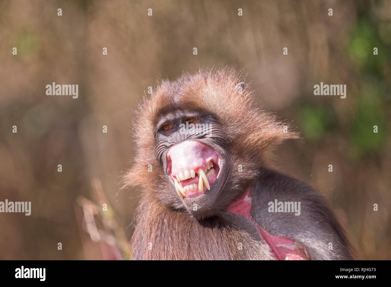 Male posture hi-res stock photography and images - Alamy