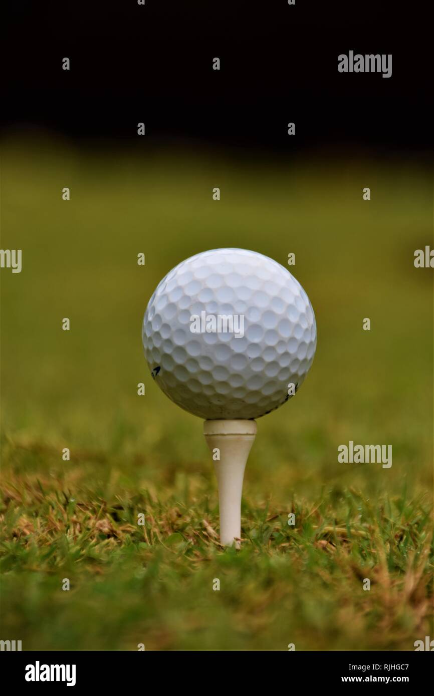 Golf ball on tee closeup detail Stock Photo - Alamy