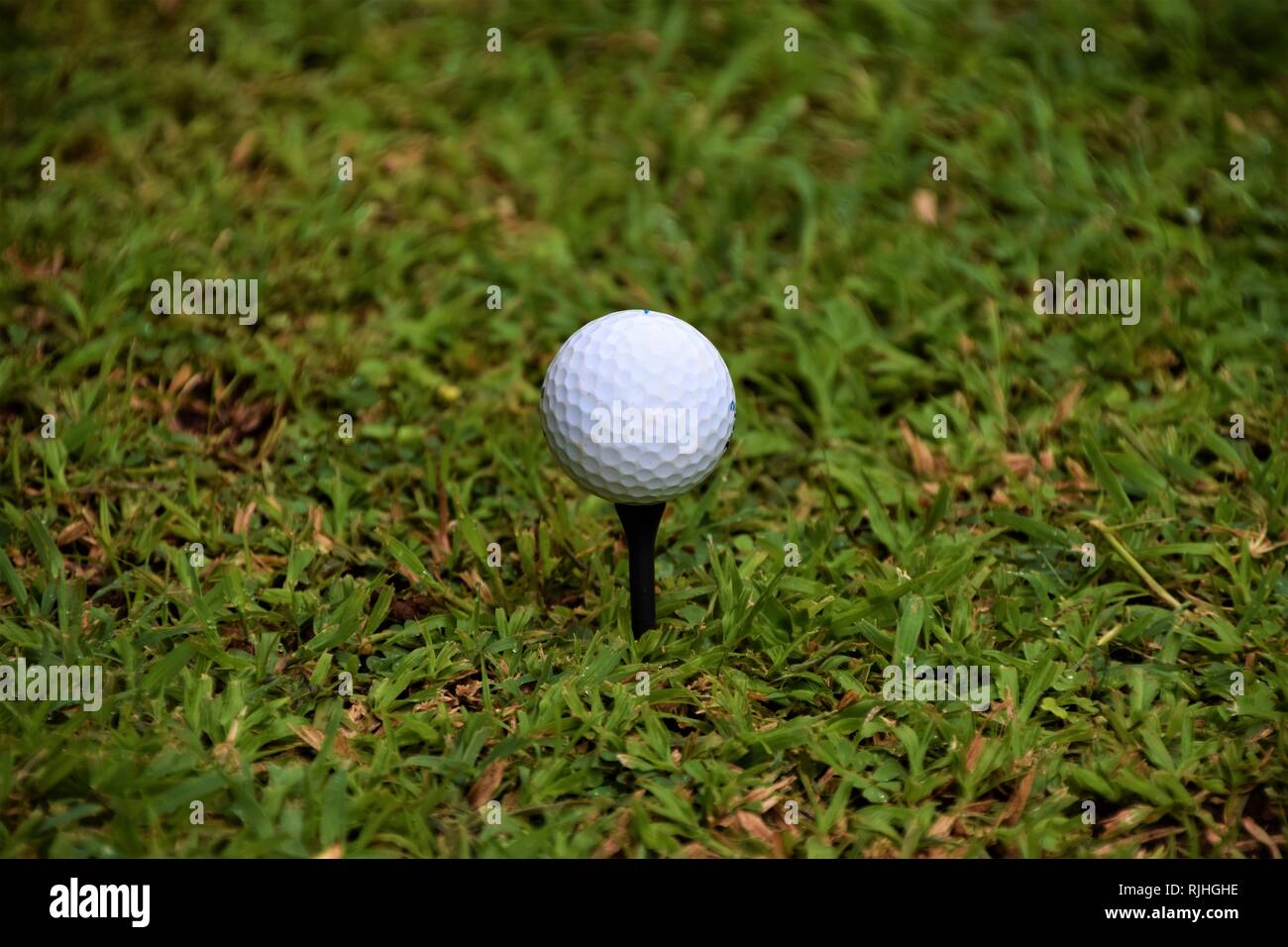 Golf ball on tee closeup detail Stock Photo - Alamy