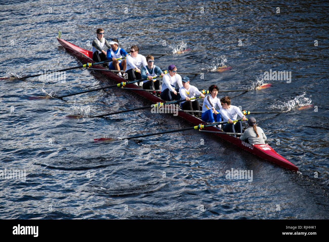 This is annual rowing race on the Charles River in Boston Stock Photo ...