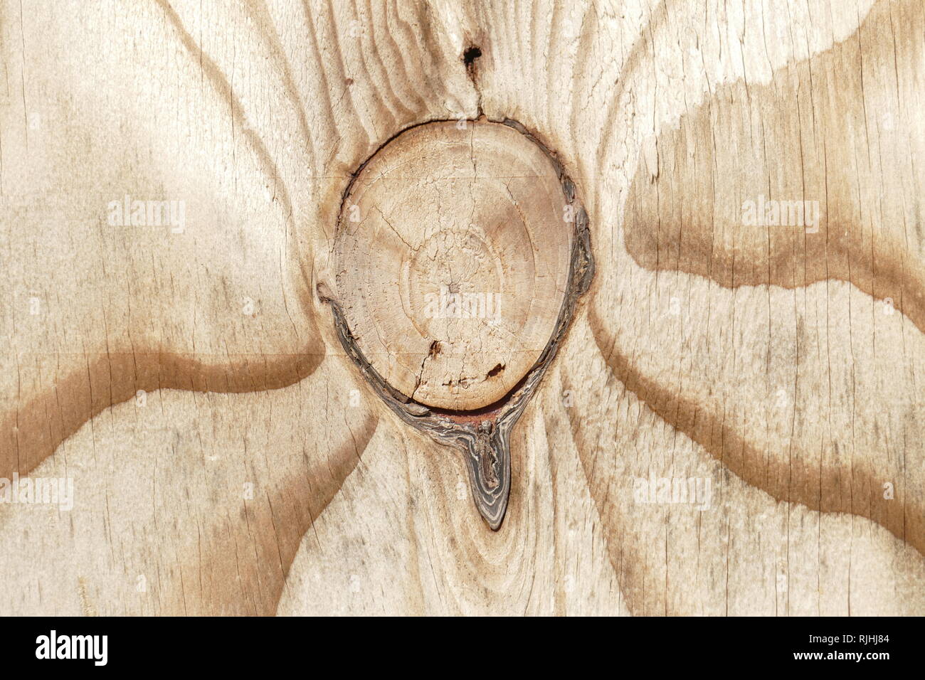 Wood texture, background image, light brown wooden wall on a ...