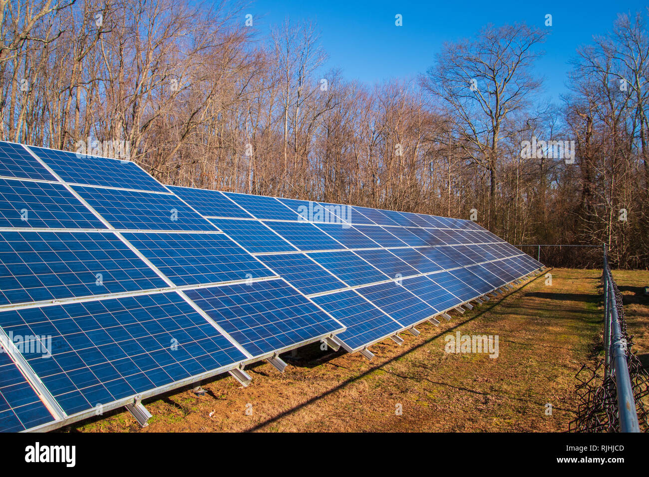 Solar Panels Trees High Resolution Stock Photography and Images - Alamy