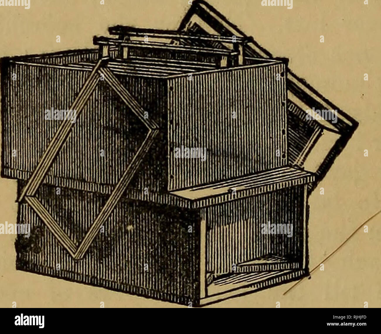 Movable frame bee hive hi-res stock photography and images - Alamy