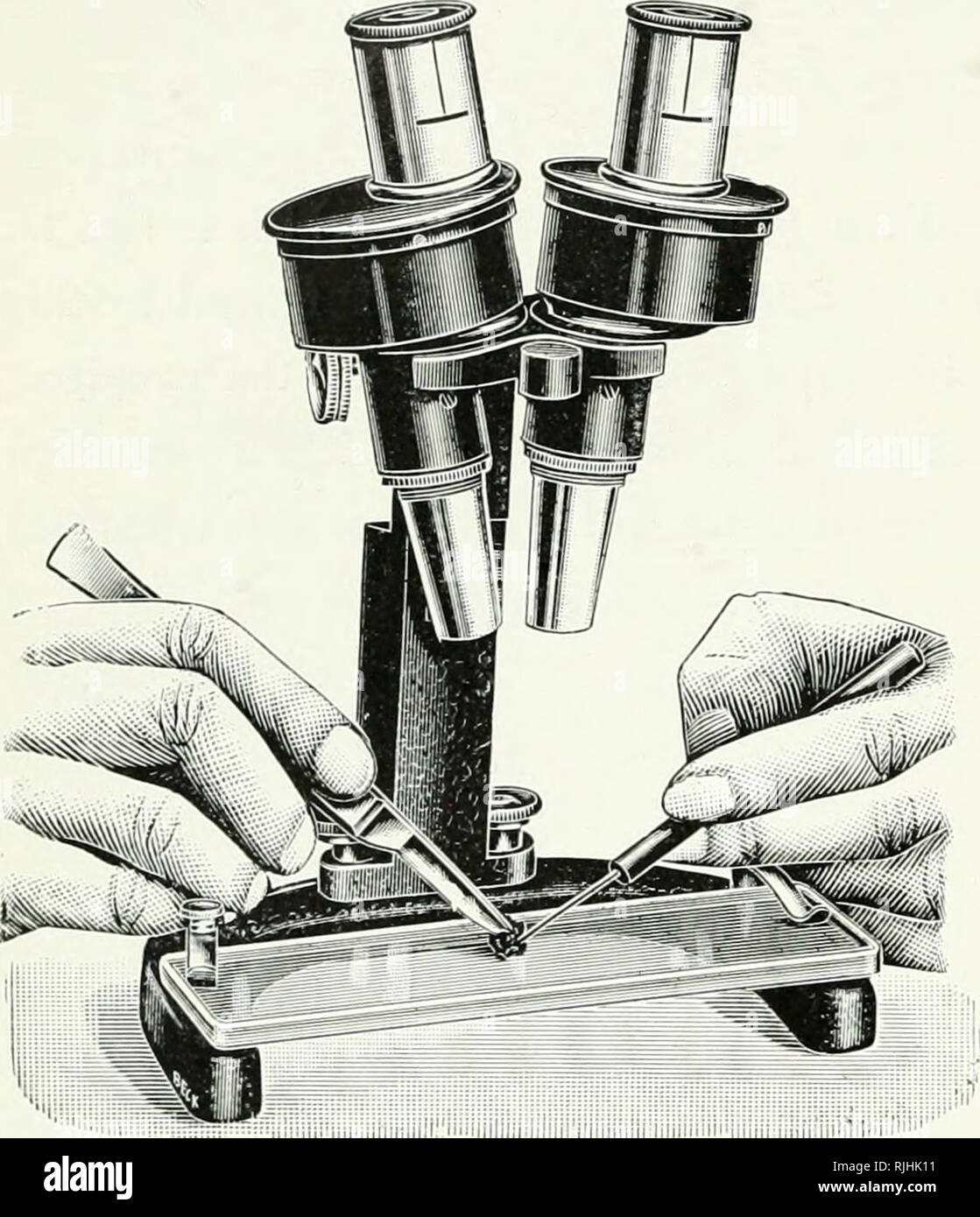 . Beck microscopes. Microscopes. An attachment is made for illuminating ...