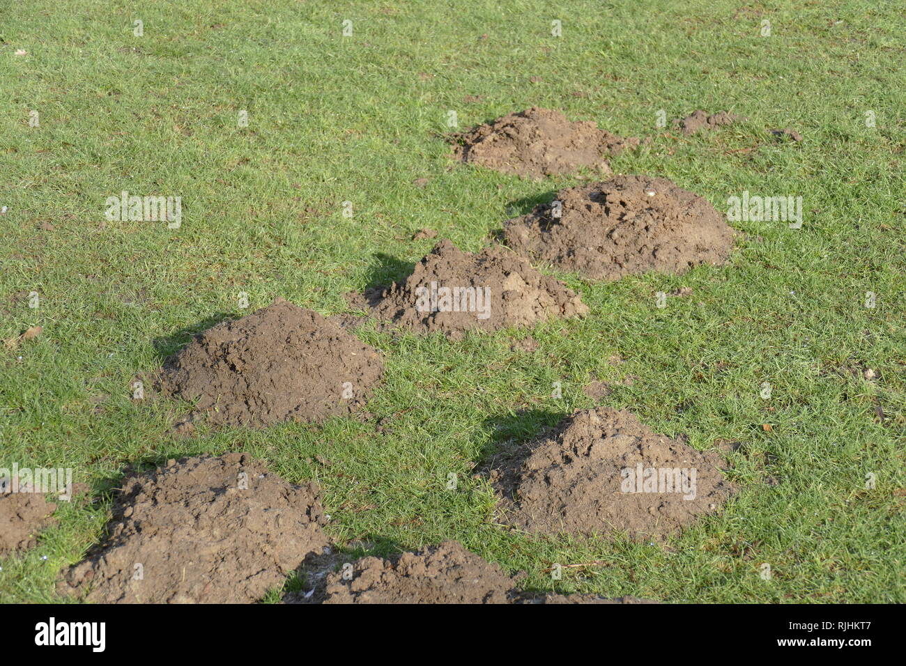 Erdhaufen hi-res stock photography and images - Alamy