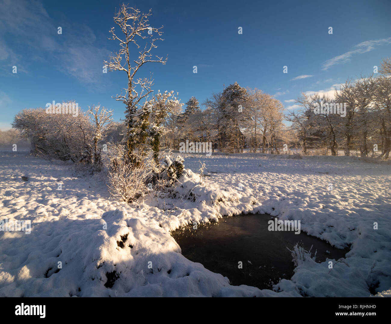 Lough key forest park hi-res stock photography and images - Alamy