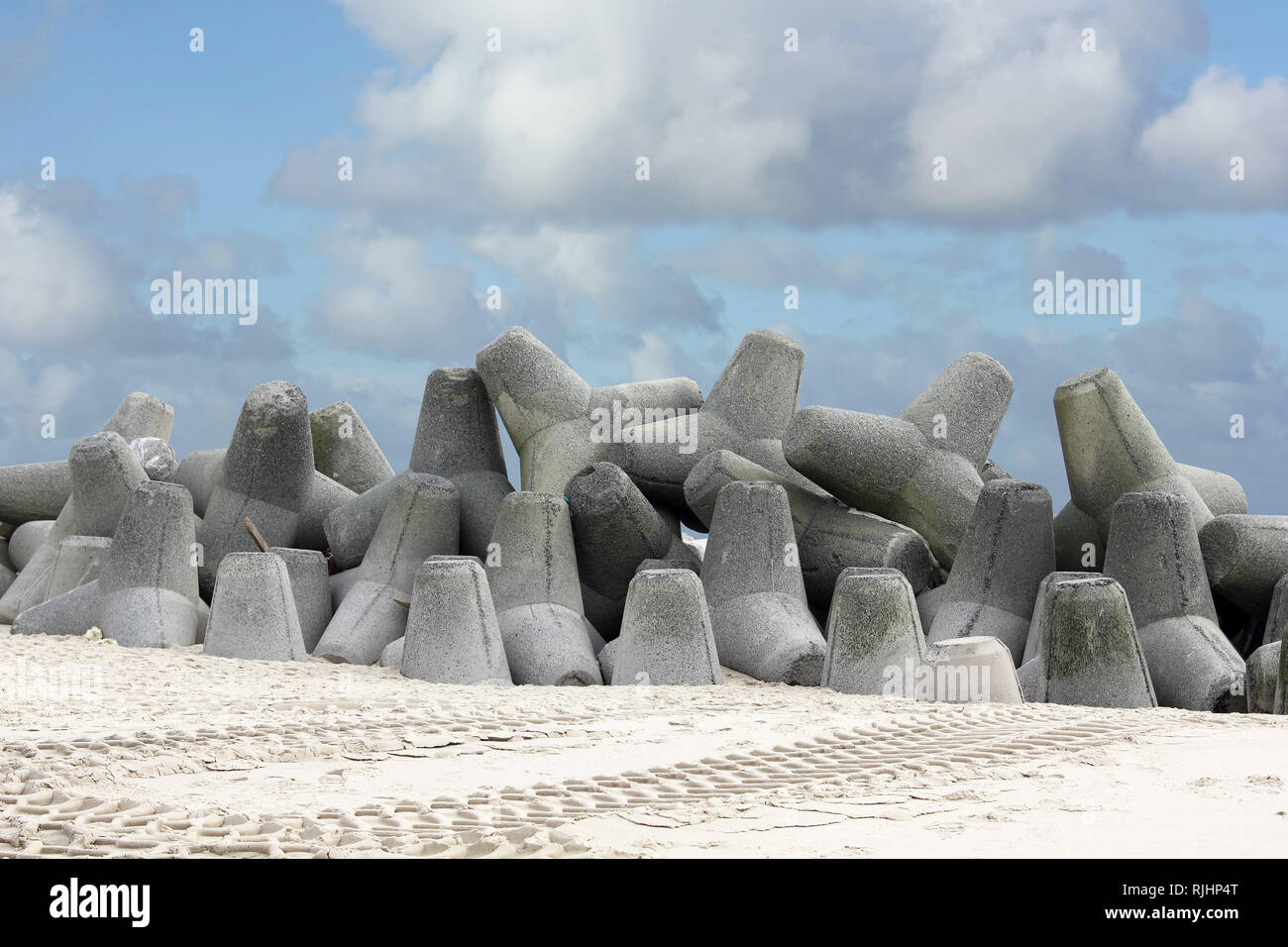 Tetrapod tetrapods hi-res stock photography and images - Alamy