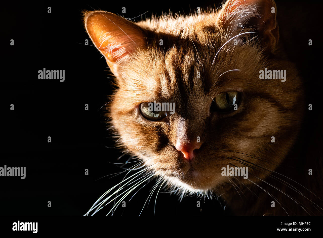 Menacing house hi-res stock photography and images - Alamy