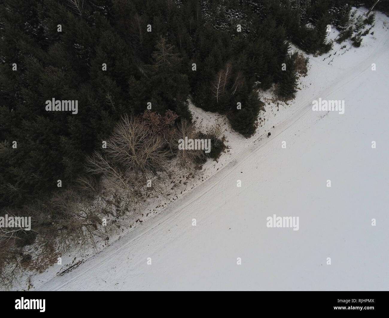 Aerial view over tree tops in winter season in the alps Stock Photo - Alamy