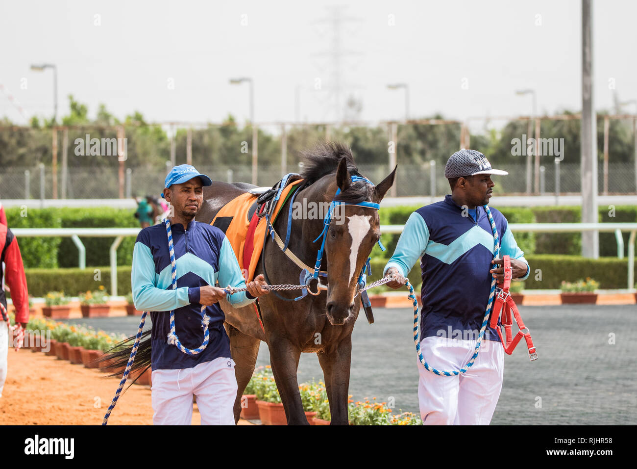 Horse stable racing hi-res stock photography and images - Alamy