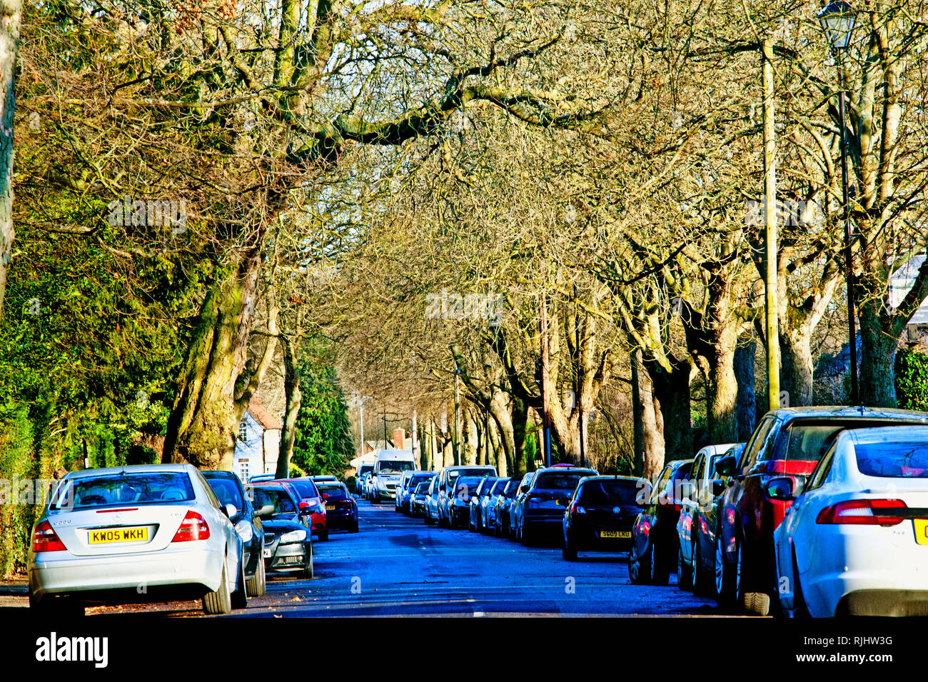 Tree Lined Hartburn Village, hartburn, Stockton on Tees, Cleveland ...