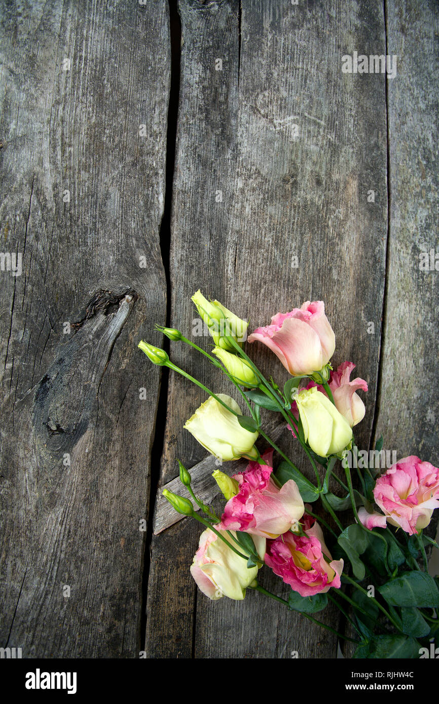 Eustoma flowers hi-res stock photography and images - Alamy