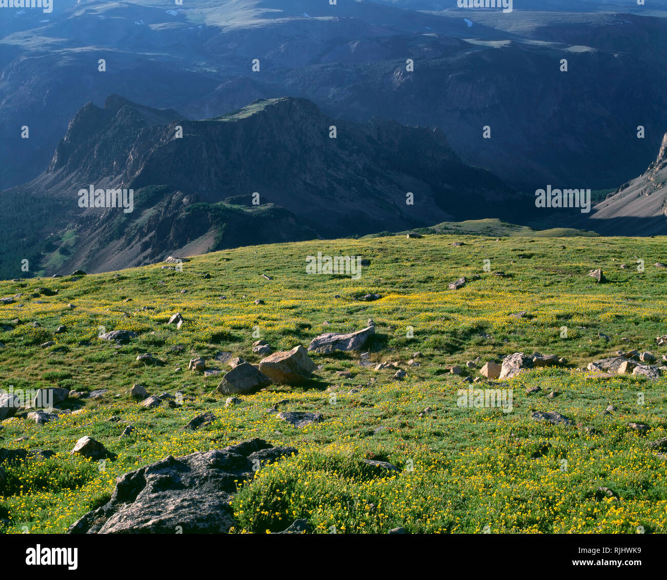 Beartooth plateau hi-res stock photography and images - Alamy