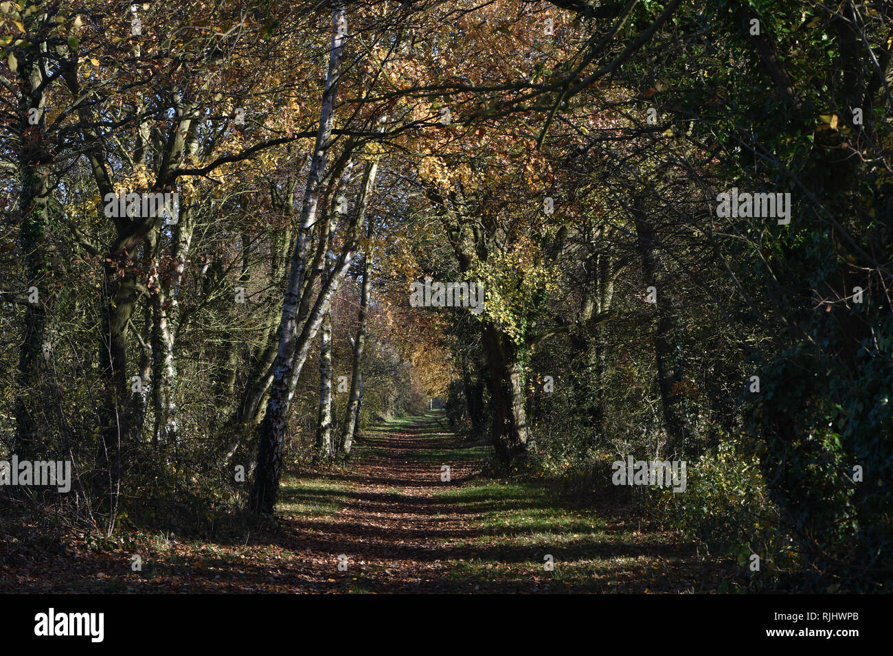 Dingle dell dingle dell dingle hi-res stock photography and images - Alamy