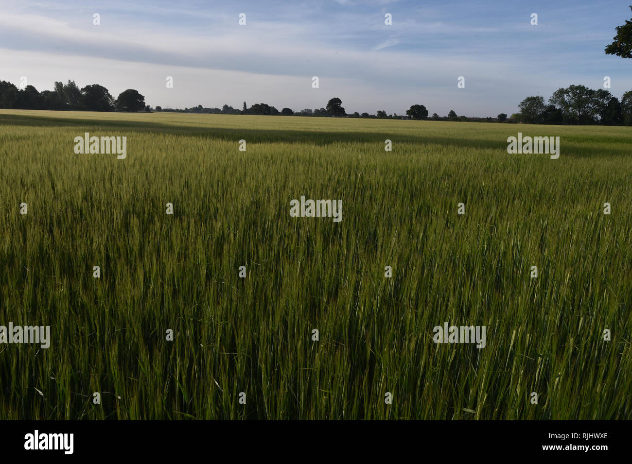 Arable fields hi-res stock photography and images - Alamy