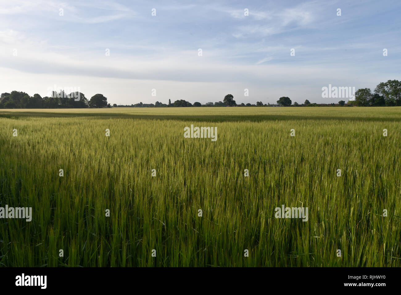 Arable fields hi-res stock photography and images - Alamy