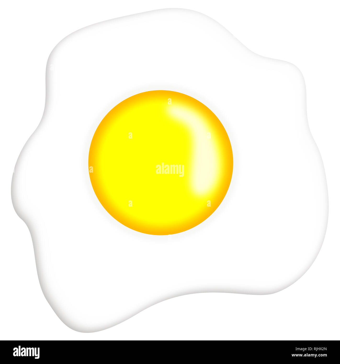 Fried Egg / raw egg in white and yellow colors on white background ...