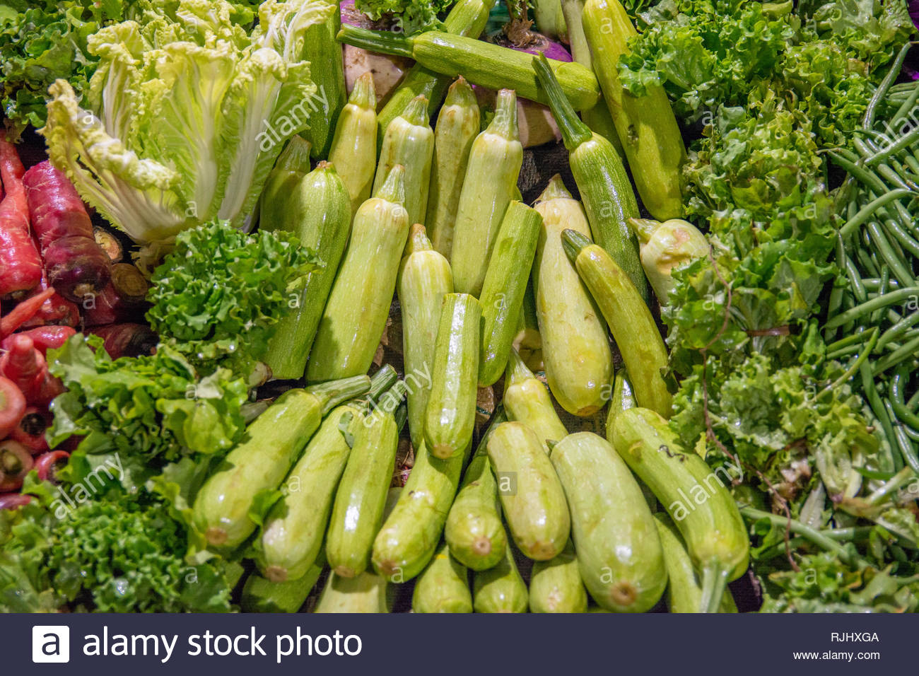 White Flowered Gourd Stock Photos & White Flowered Gourd Stock Images ...