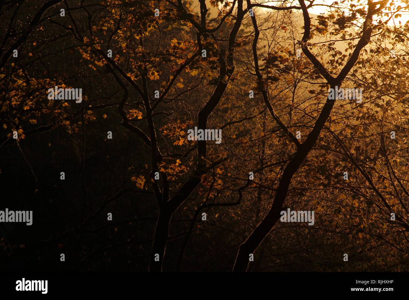 Alna river hi-res stock photography and images - Alamy