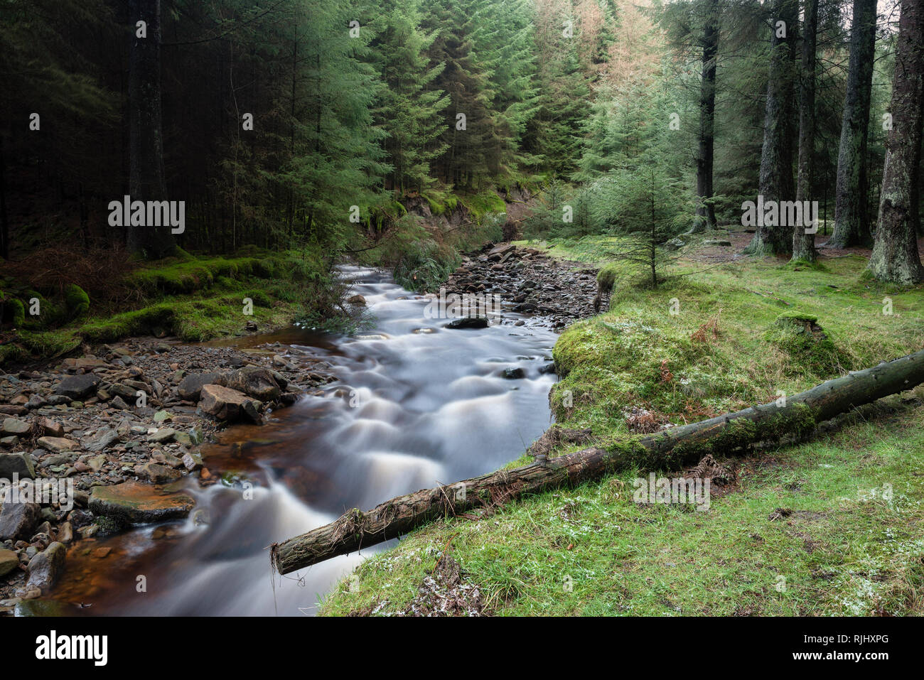 Lady brook hi-res stock photography and images - Alamy