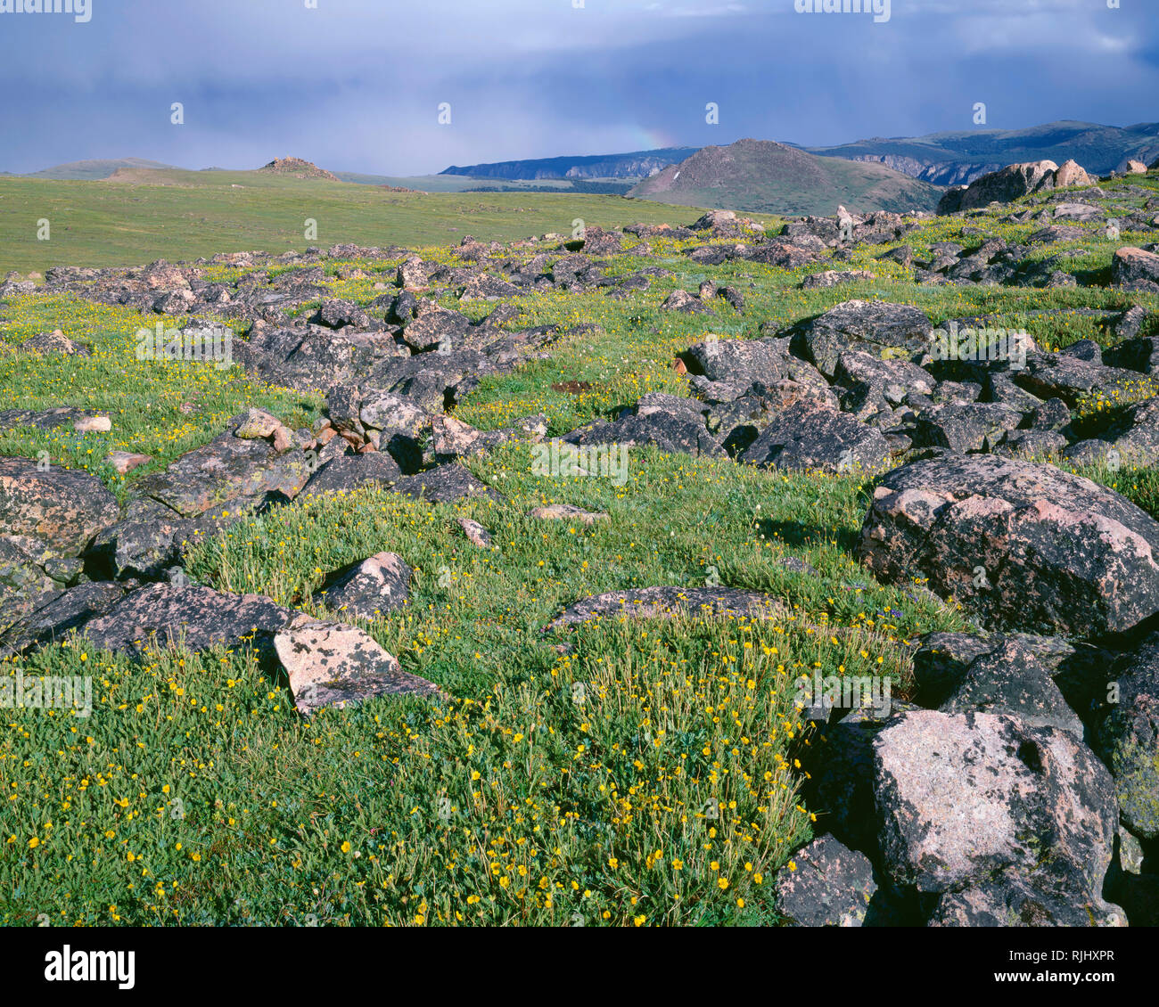Tundra rocks hi-res stock photography and images - Alamy