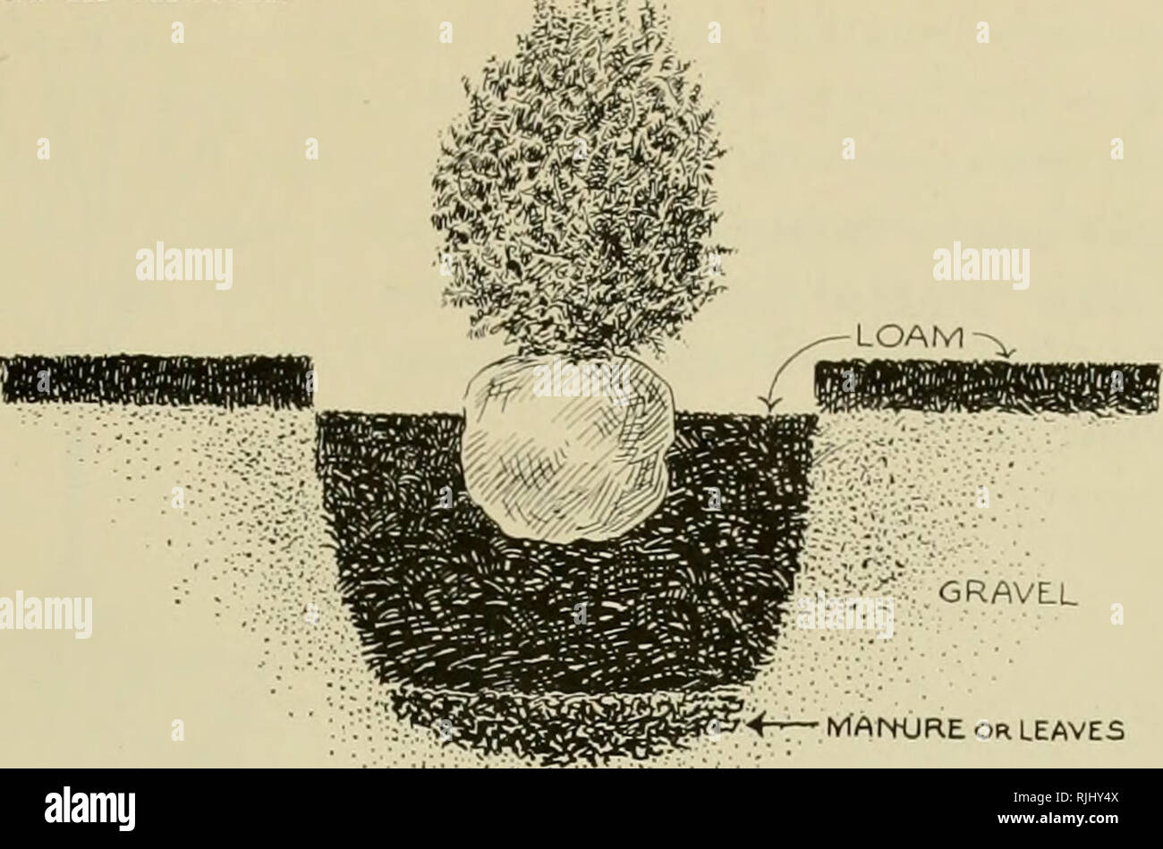 Loam Drawing