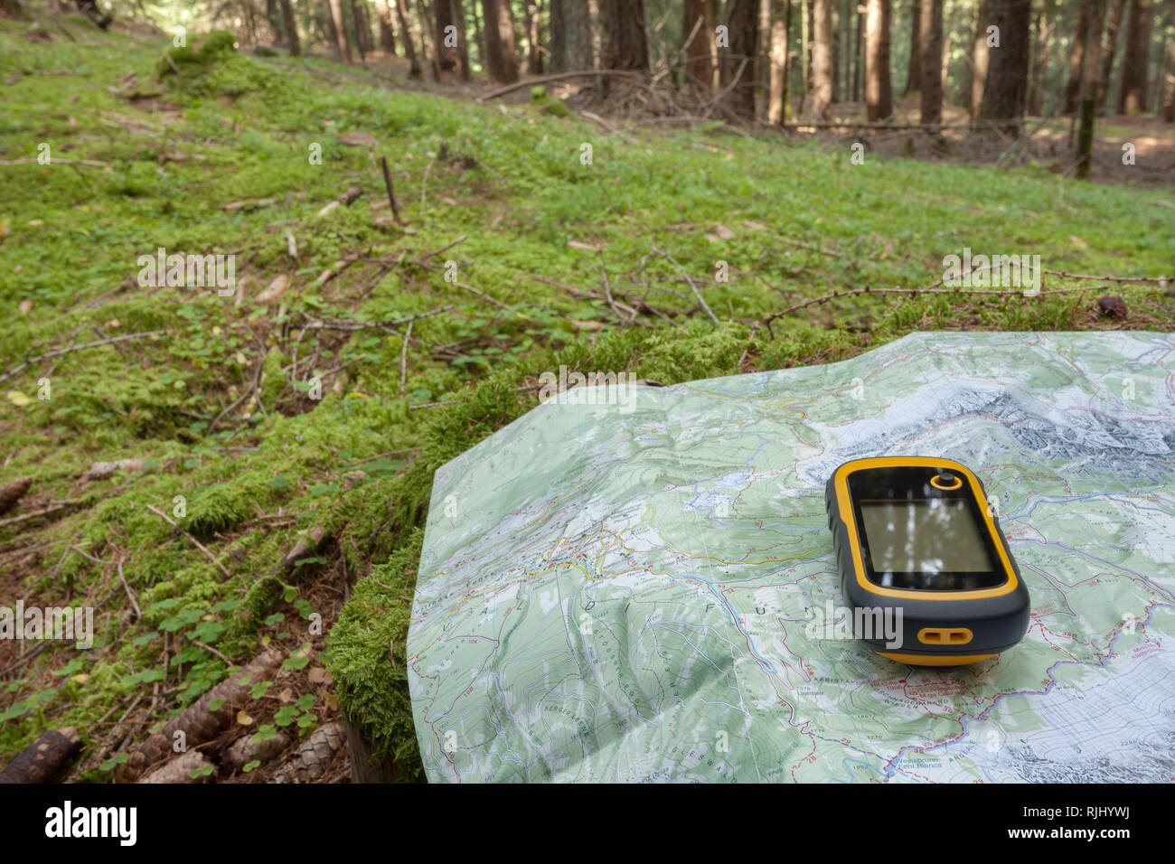 finding the right position in the forest with a gps Stock Photo - Alamy