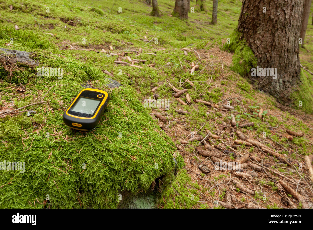 finding the right position in the forest with a gps Stock Photo - Alamy
