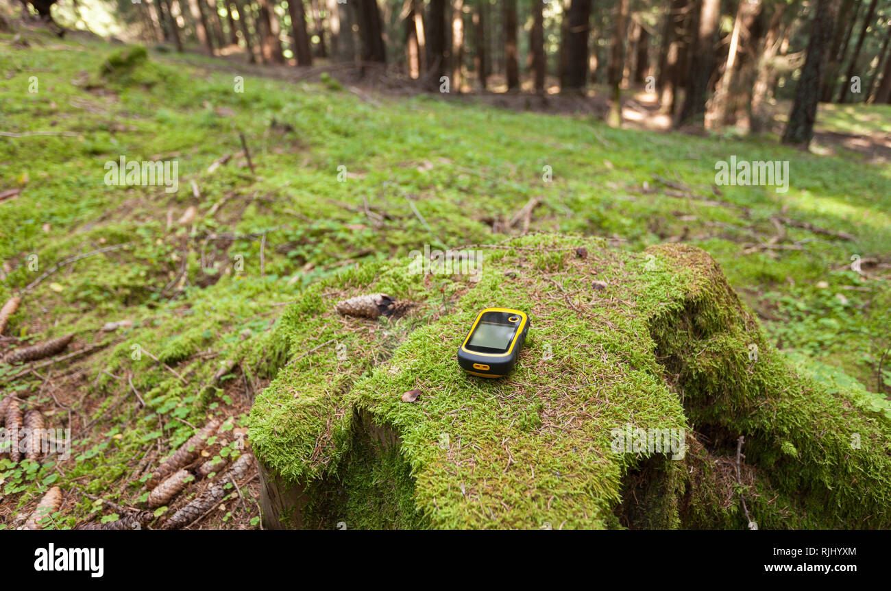 finding the right position in the forest with a gps Stock Photo - Alamy