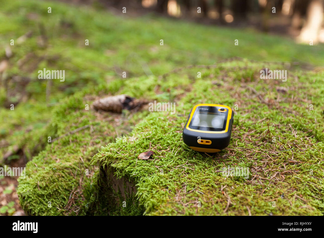 finding the right position in the forest with a gps Stock Photo - Alamy