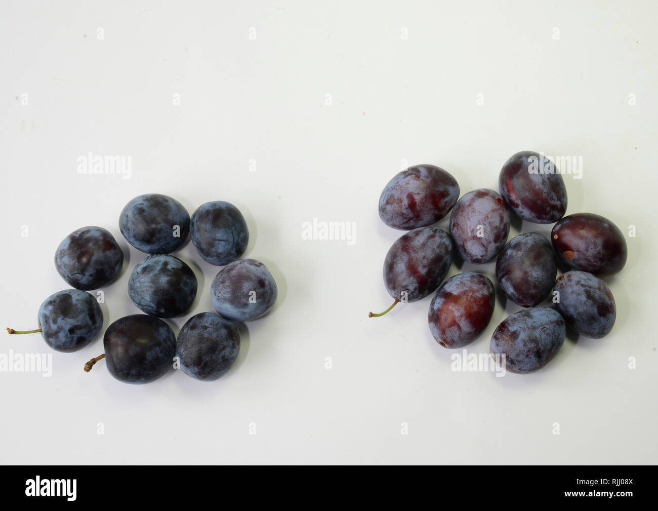 Prunus varieties. From left to right: Fruit of Plum (Prunus domestica ...