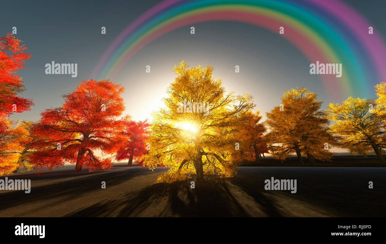 Rainbow over autumn trees Stock Photo - Alamy
