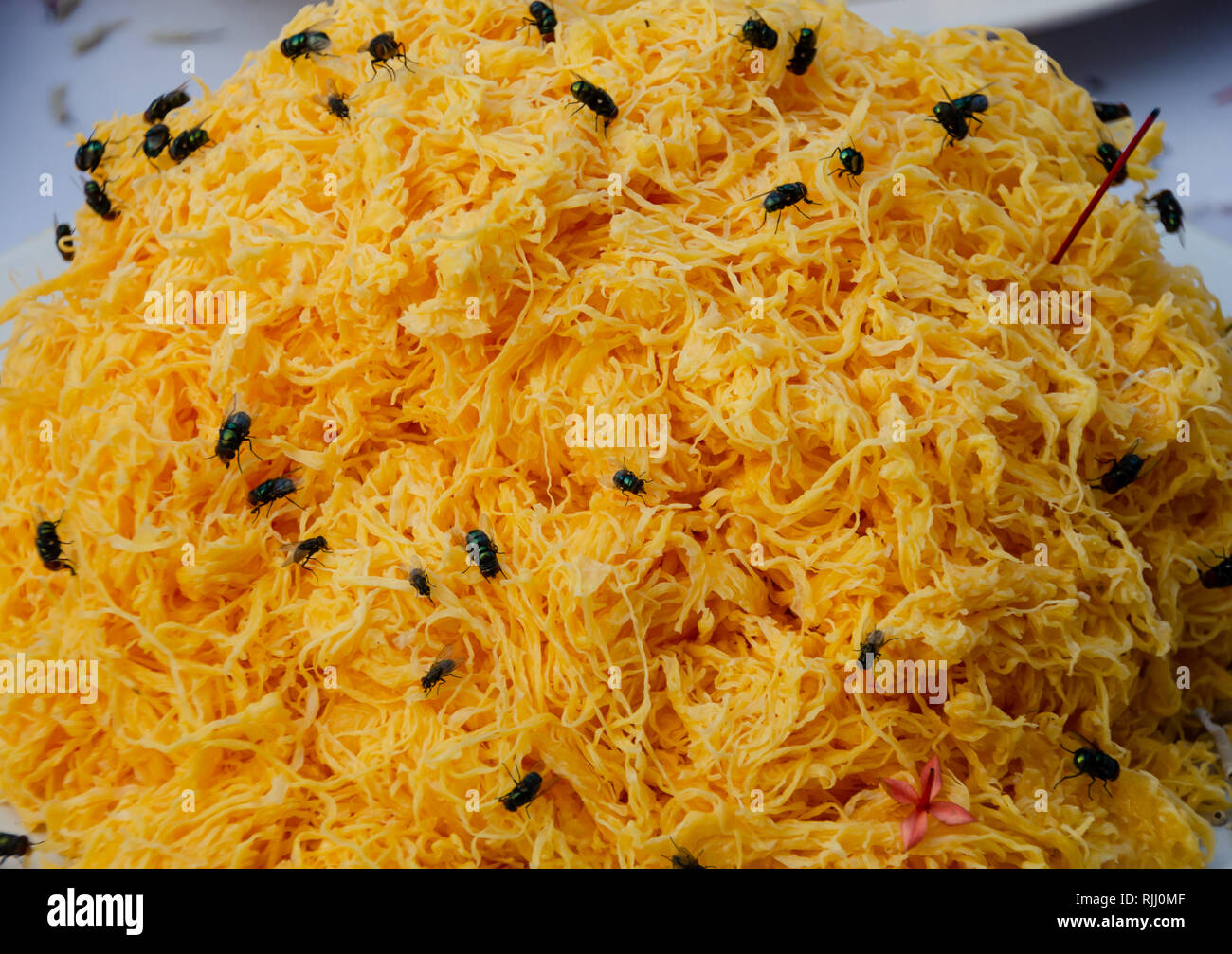 Food carrier hi-res stock photography and images - Alamy