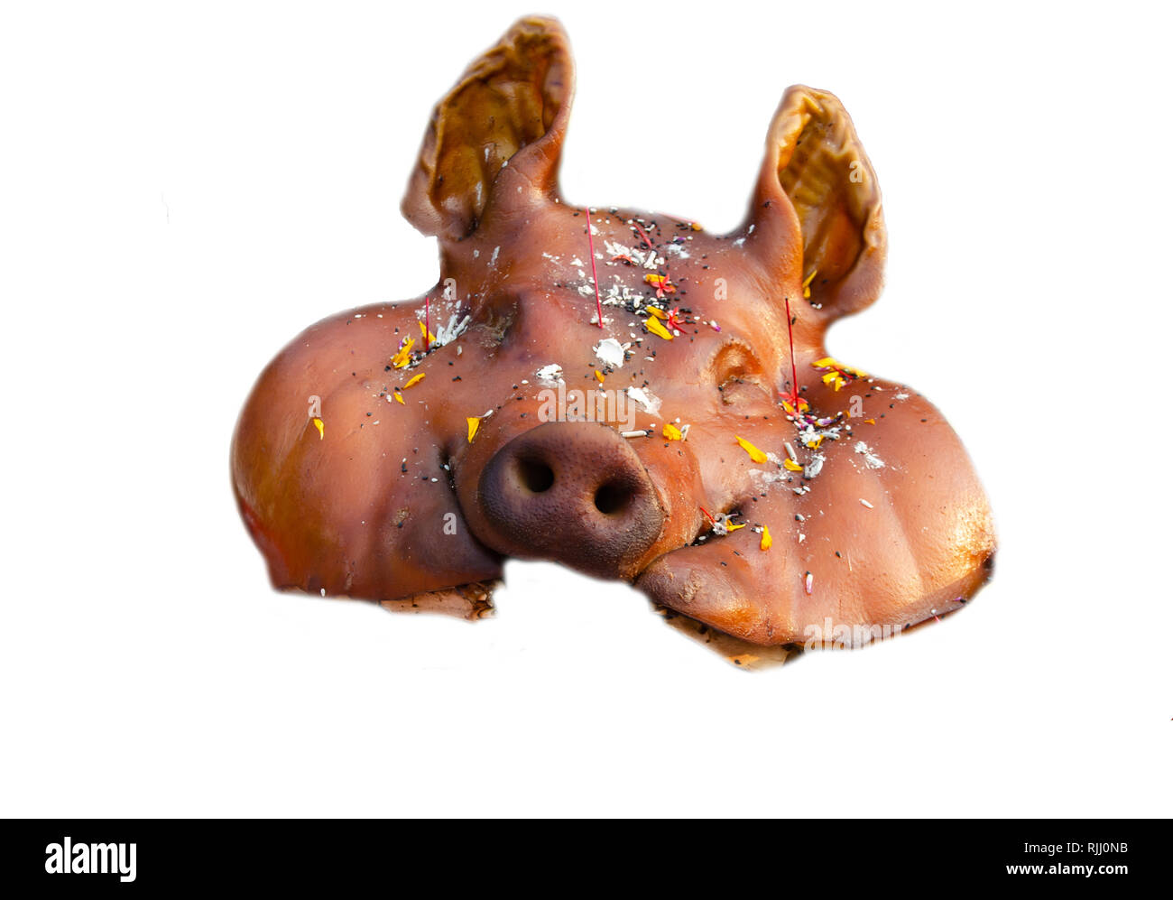 Dead pig head Cut Out Stock Images & Pictures - Alamy