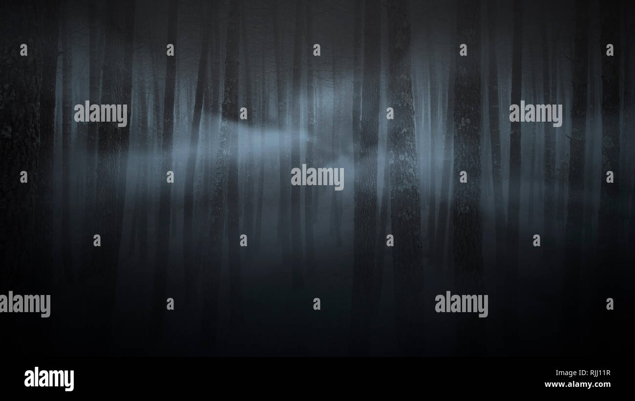 Spooky foggy forest at night Stock Photo - Alamy