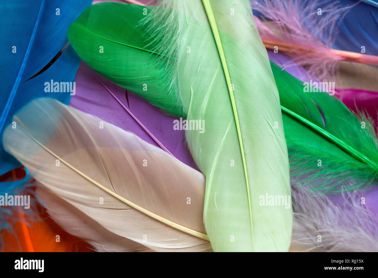 Pile of the colorful artificial feathers Stock Photo - Alamy