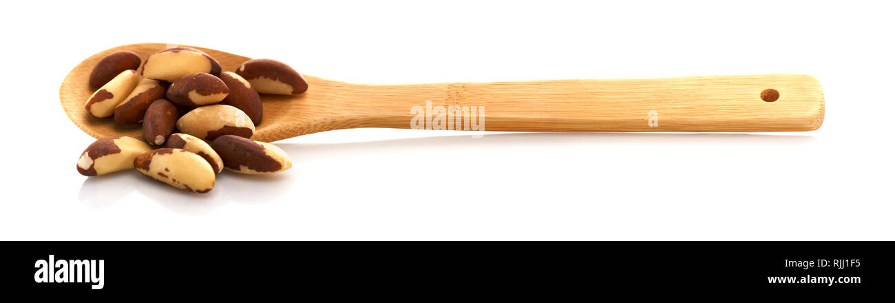 Brazil nut wooden spoon. Isolated on white background. Place for text ...