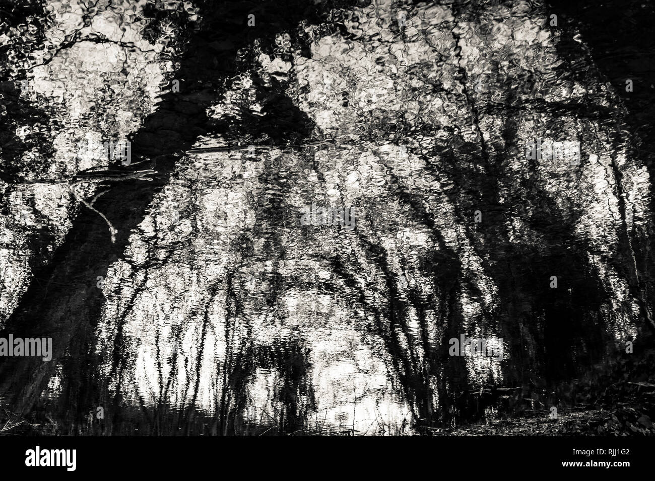 dark reflections in woodland pool Stock Photo - Alamy